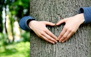 Valor Compartido: qué es, definición, características y ejemplos