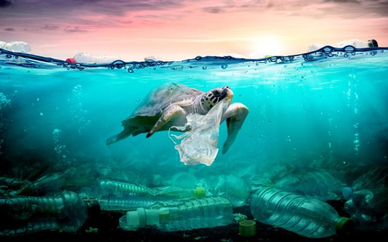 WWF proyecta que contaminación por plásticos en el océano se ...