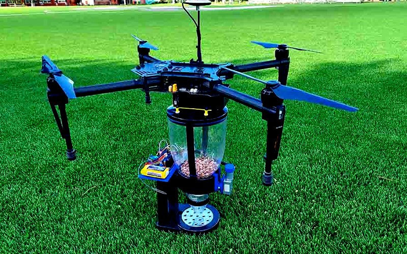 Tec de Monterrey y estudiantes reforestan la Sierra Tarahumara con ...